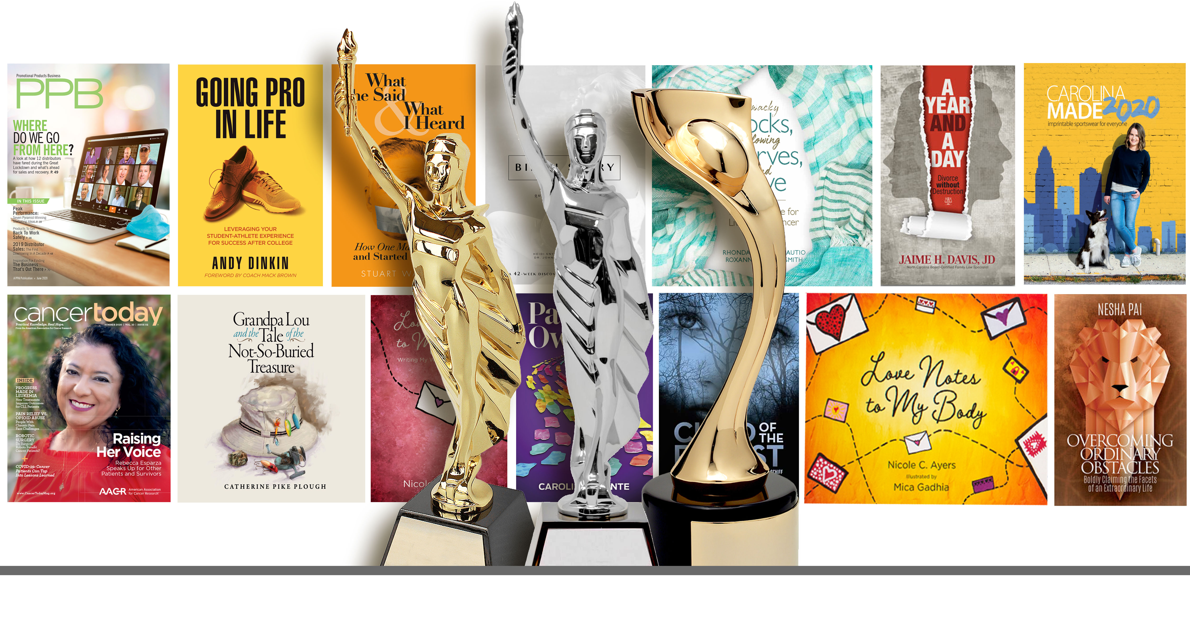 SPARK Publications Celebrates 2020 Award Winners and Finalists | SPARK ...